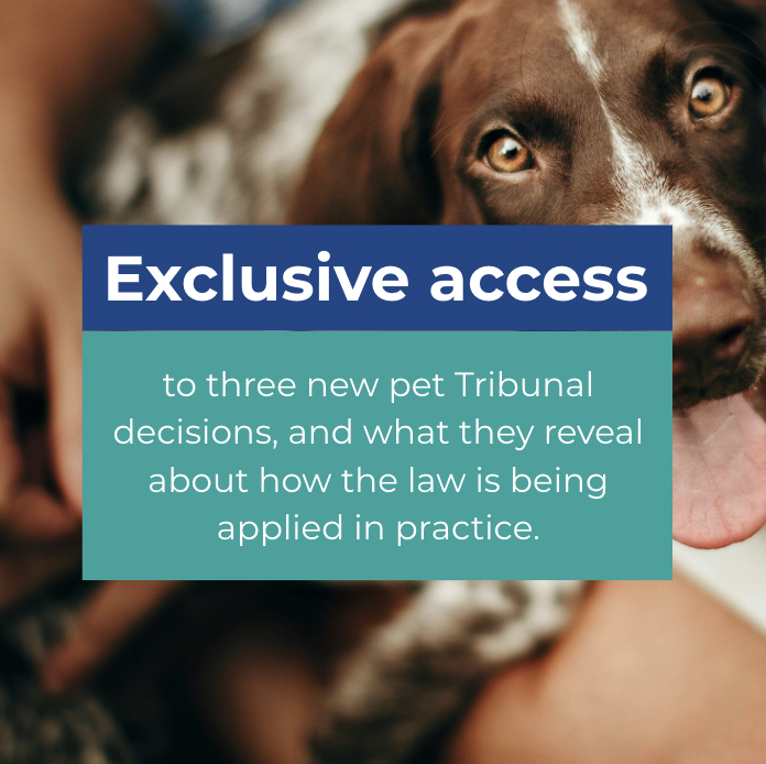 Advocacy in Action – pet rules, your response and what’s next - NZ ...